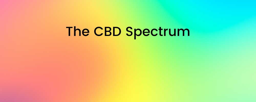 The CBD Spectrum: Which type of CBD should I try? – LumiBloom